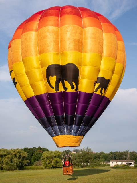 Balloons - Dairyland Balloon Jubilee
